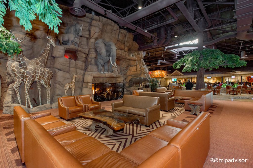 11 Tips To Have A Great Time At Kalahari Resort - Live One Good Life