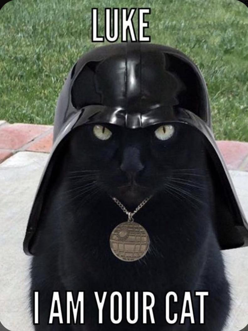 Lefties Losing It Woman Takes Son To Vet Because He Identifies A Cat Lefties Losing It Woman Takes Son To Vet Because He Identifies A Cat