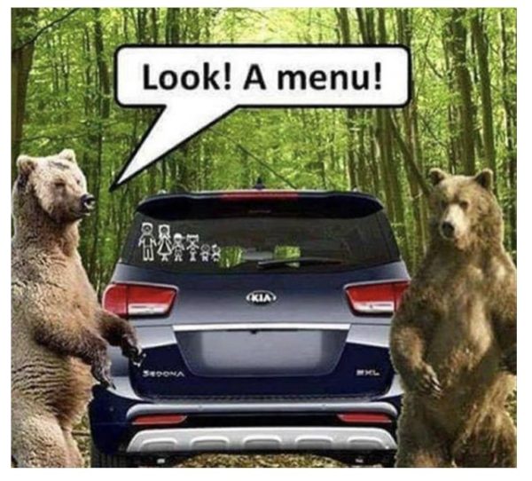 30 Clean Funny Animal Memes 2021 - Live One Good Life