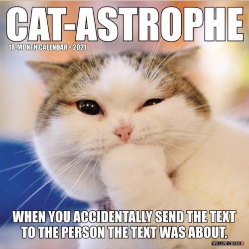 30 Clean Funny Animal Memes 2021 - Live One Good Life