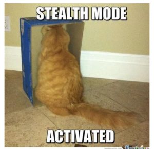 30 Clean Funny Animal Memes 2021 - Live One Good Life